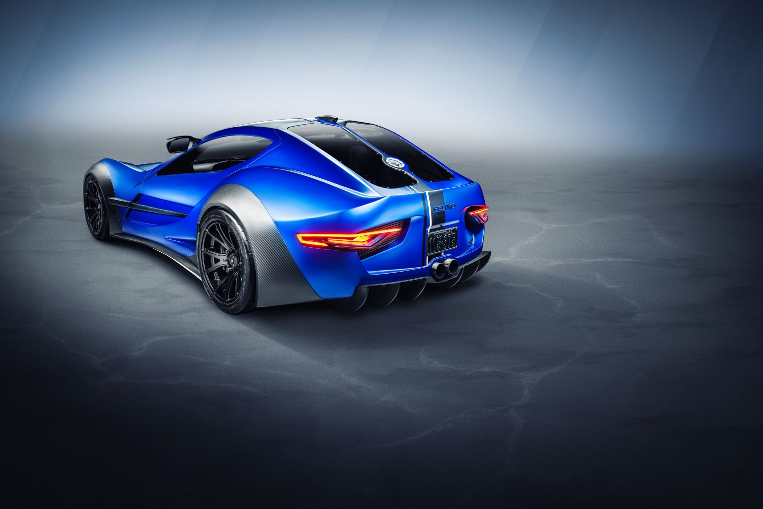 Photos - F E L I N O